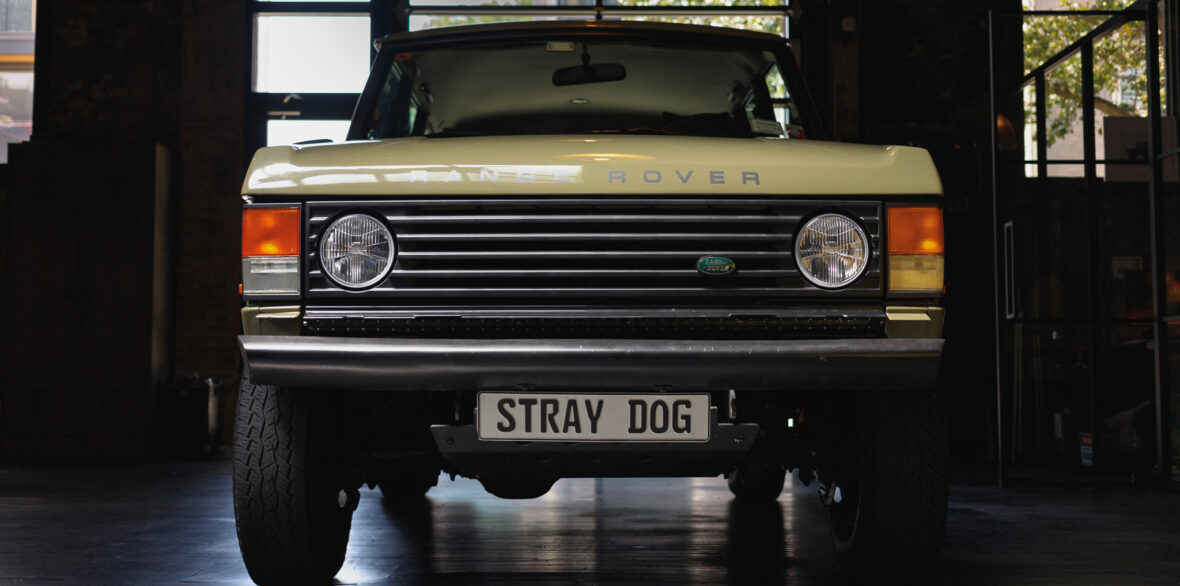 Stray Dog Classics: A Case Study In “What If”